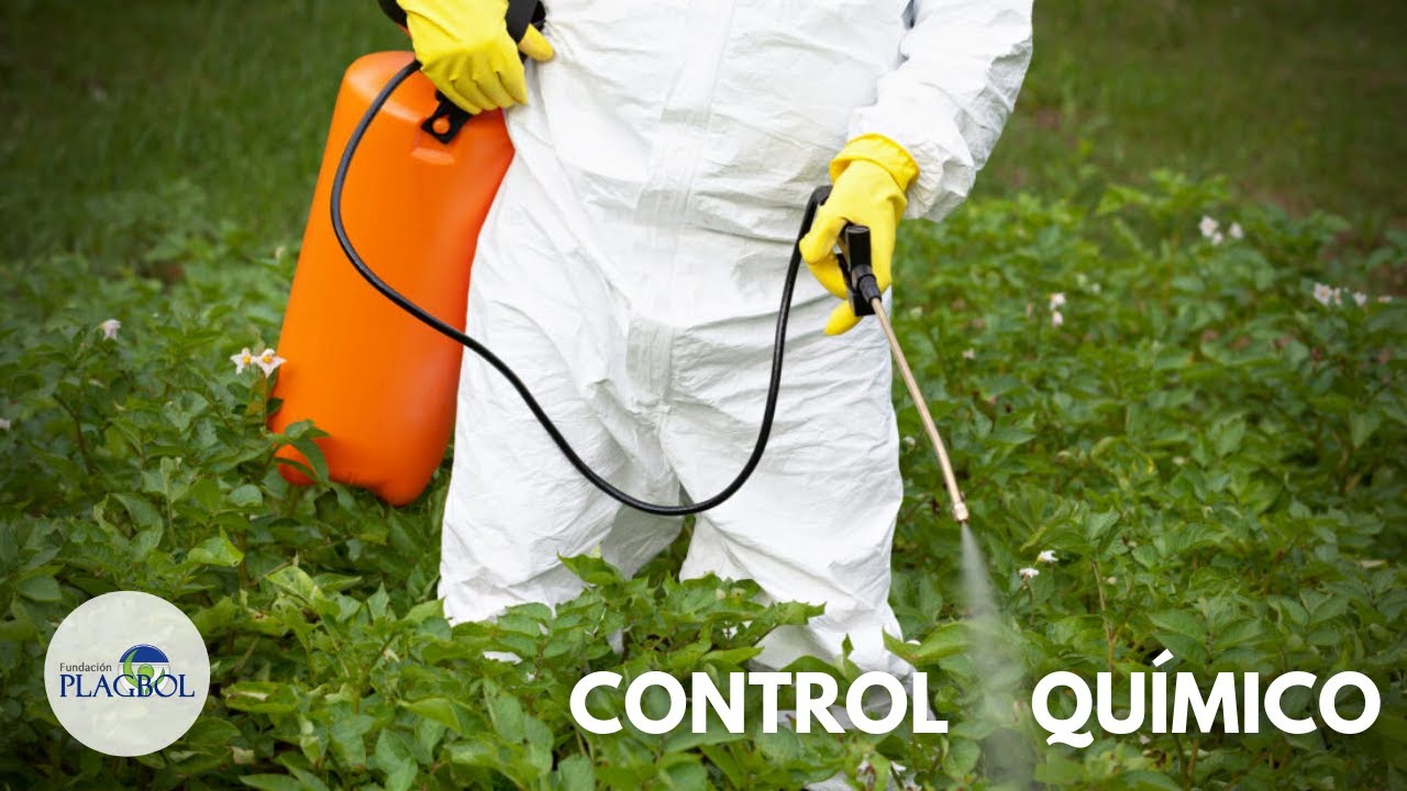 Todo lo que Debes Saber sobre las Diferencias entre Control Químico y ...